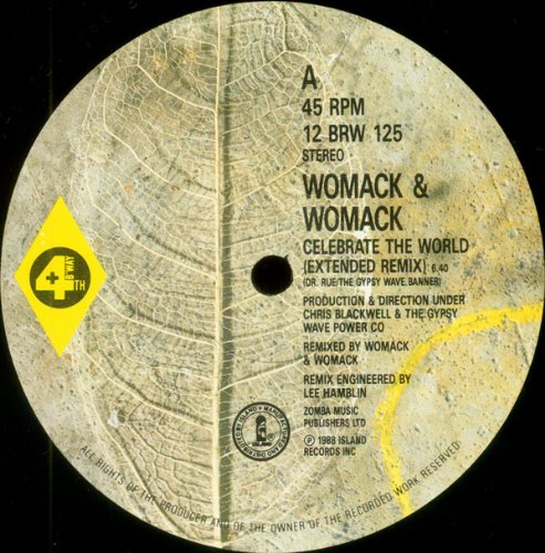 Amazon.com: Celebrate the world (Remix) / Vinyl Maxi Single [Vinyl 12 ...