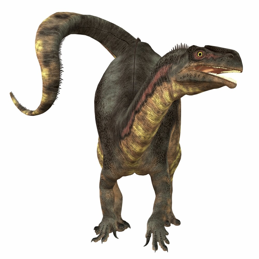 Plateosaurus Dinosaur