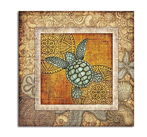 Amazon.com: Baby Sea Turtle Square Coastal Art Print by Dan Morris ...
