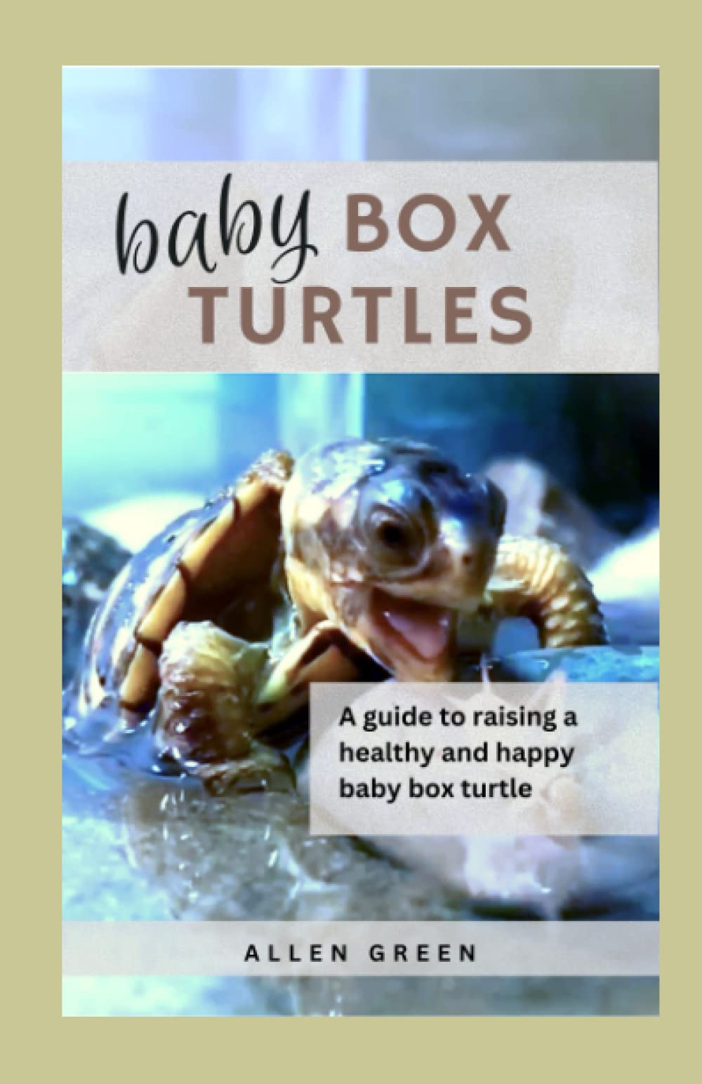 Baby Box Turtles: A guide to raising a healthy and happy baby box ...