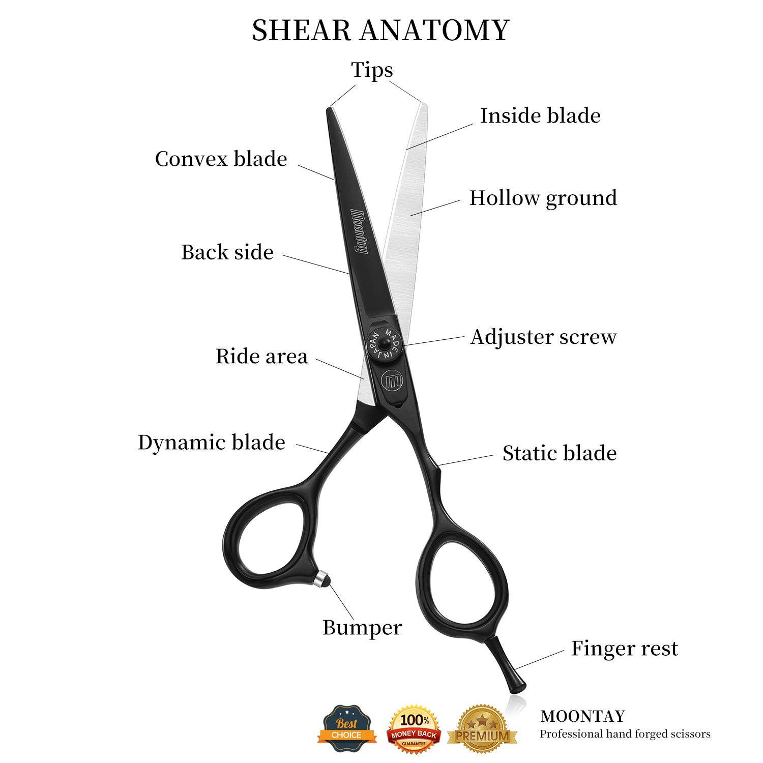 What Every Hairstyling Professional Should Know About Hair Shears? Scissor Tech USA | atelier ...
