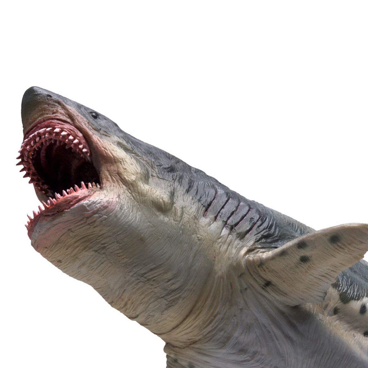 PNSO Megalodon Shark Prehistoric Sea Ocean Animal PVC Models ...