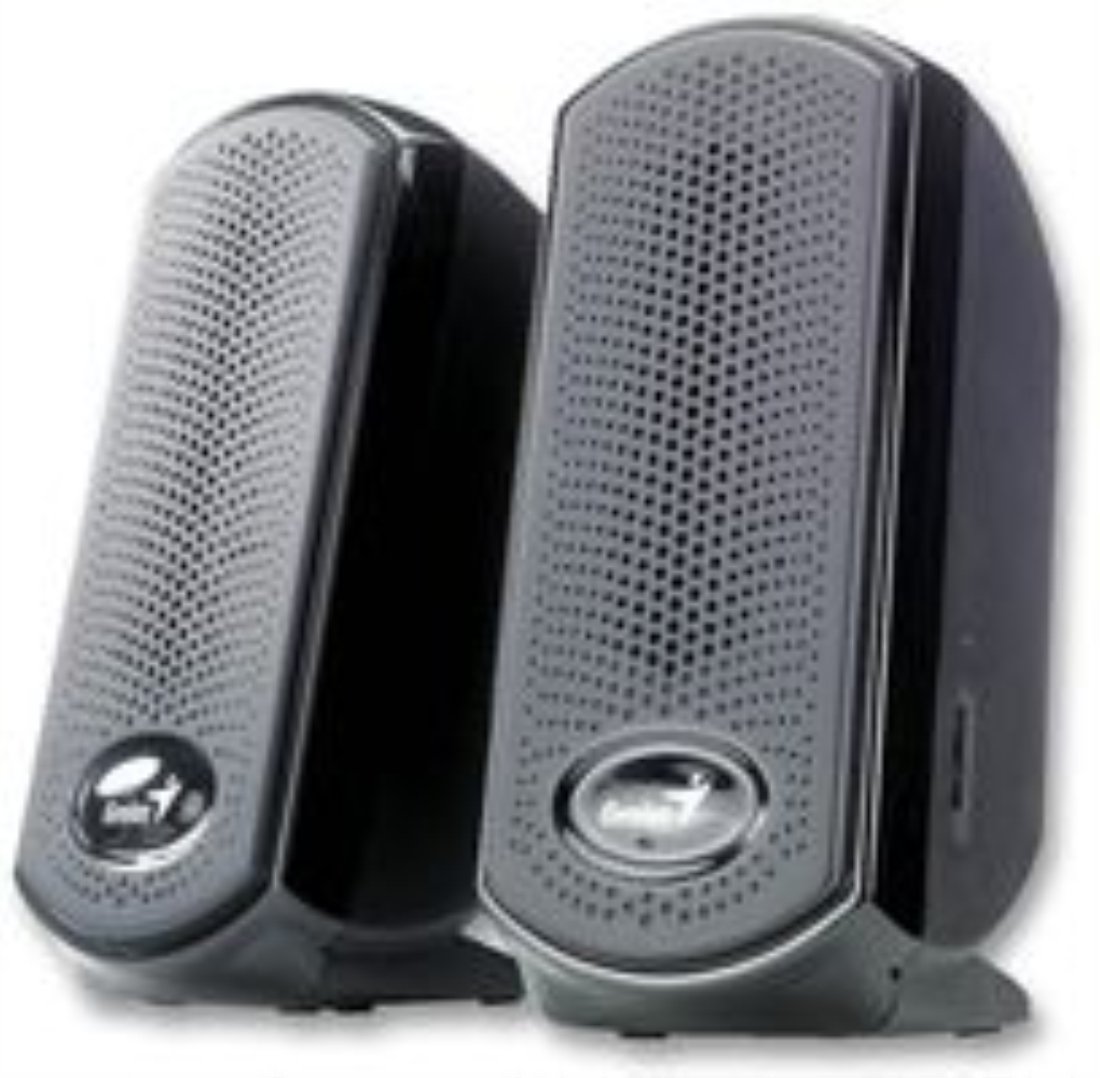 Genius SP-U110 Normal 2.0 Multimedia Speakers : Amazon.in: Computers ...