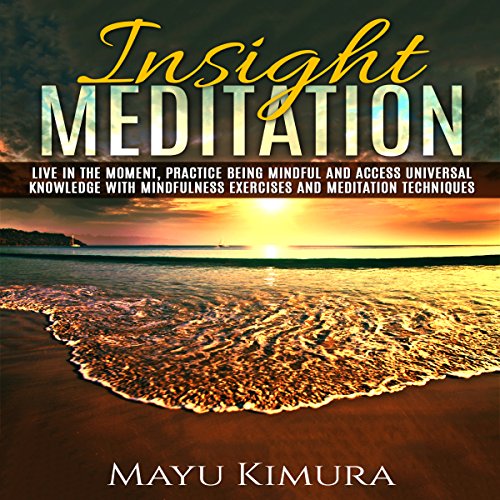 Insight Meditation: Live in the Moment, Practice Being Mindful and ...