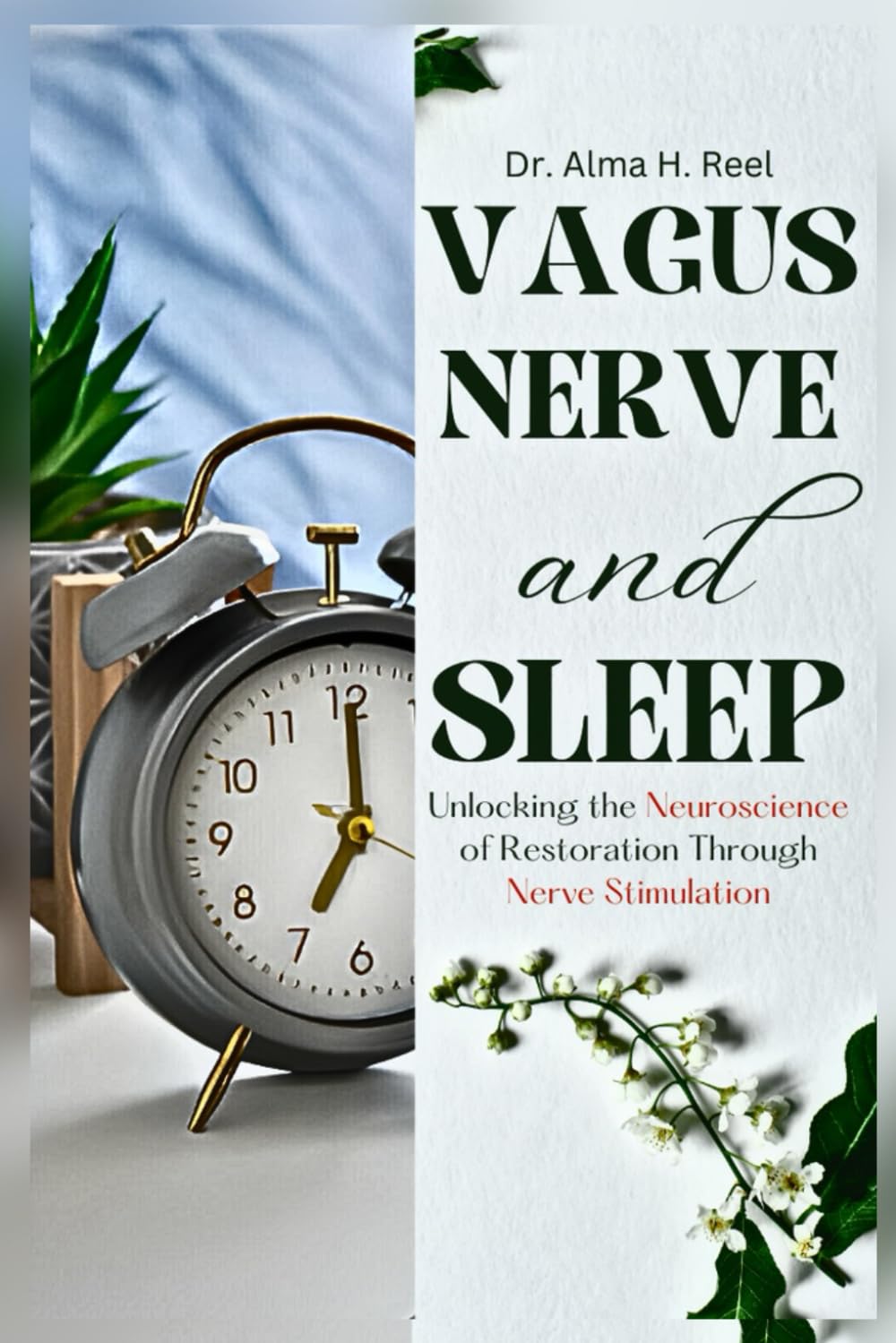 VAGUS NERVE AND SLEEP: Unlocking the Neuroscience of Restoration ...