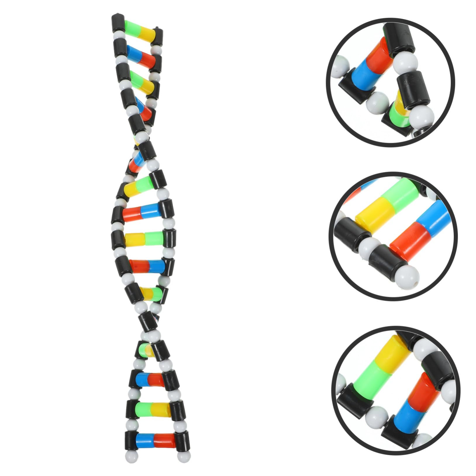 How To Make A Dna Helix Model