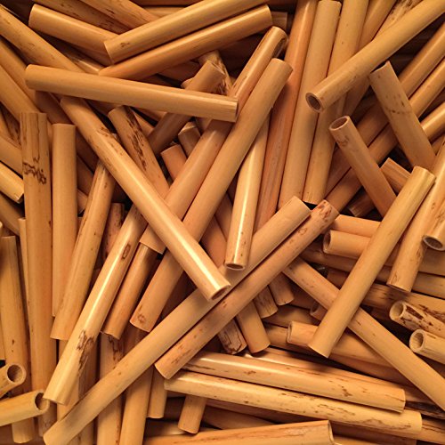 Rigotti Oboe Tube Cane 10.5-11mm, 25 Tubes : Amazon.in: Musical Instruments