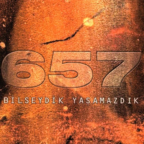 Amazon.com: Bilseydik Yaşamazdık : 657: Digital Music