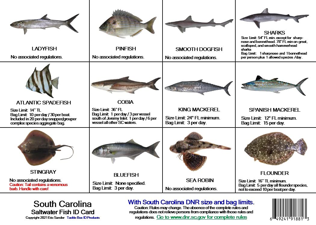 Buy South Carolina Saltwater Fish Identification Card Set - Three ...