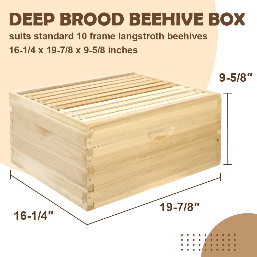 10 Frame Bee Hive, Compelte Bee Hive Starter Kit Includes 1 Deep Brood ...