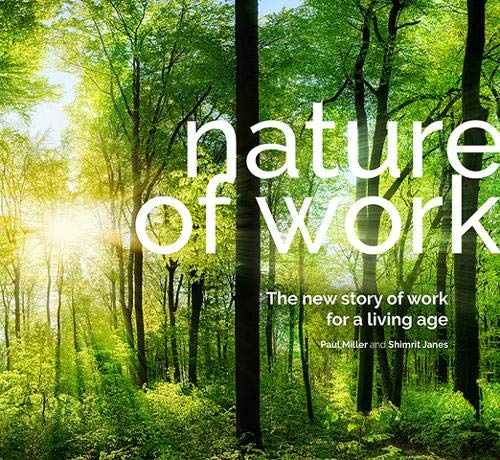 Amazon.com: Nature of Work: The new story of work for a living age ...