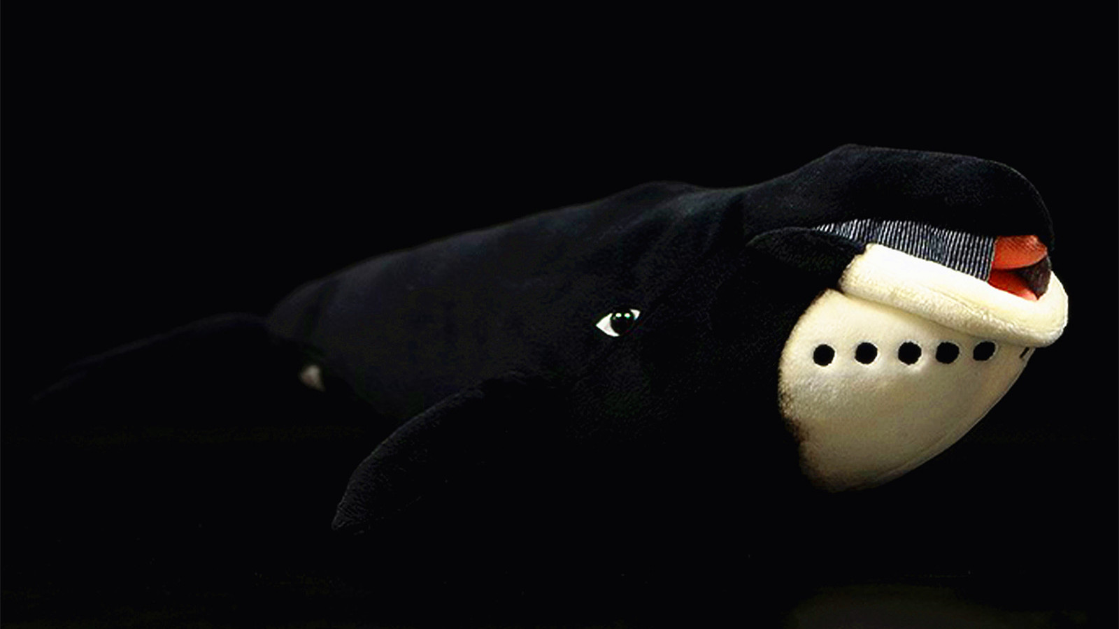 Watch Bowhead Whale Plush Toy - on Amazon Live