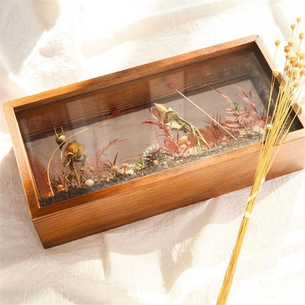 Amazon.com - Rectangle Shadow Box Acrylic Photo Frames, 26X13 cm Clear ...