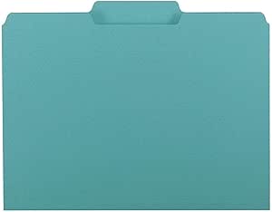 Amazon.com : JTSQ Interior File Folders 1/3 Cut Top Tab Letter Aqua 100 ...