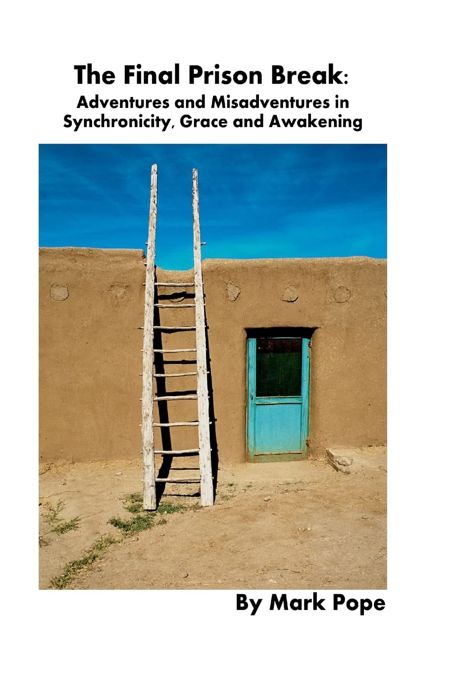 The Final Prison Break: Adventures and Misadventures in Synchronicity ...