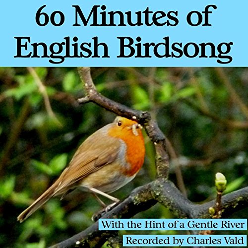 60 Minutes of English Birdsong (With the Hint of a Gentle River ...