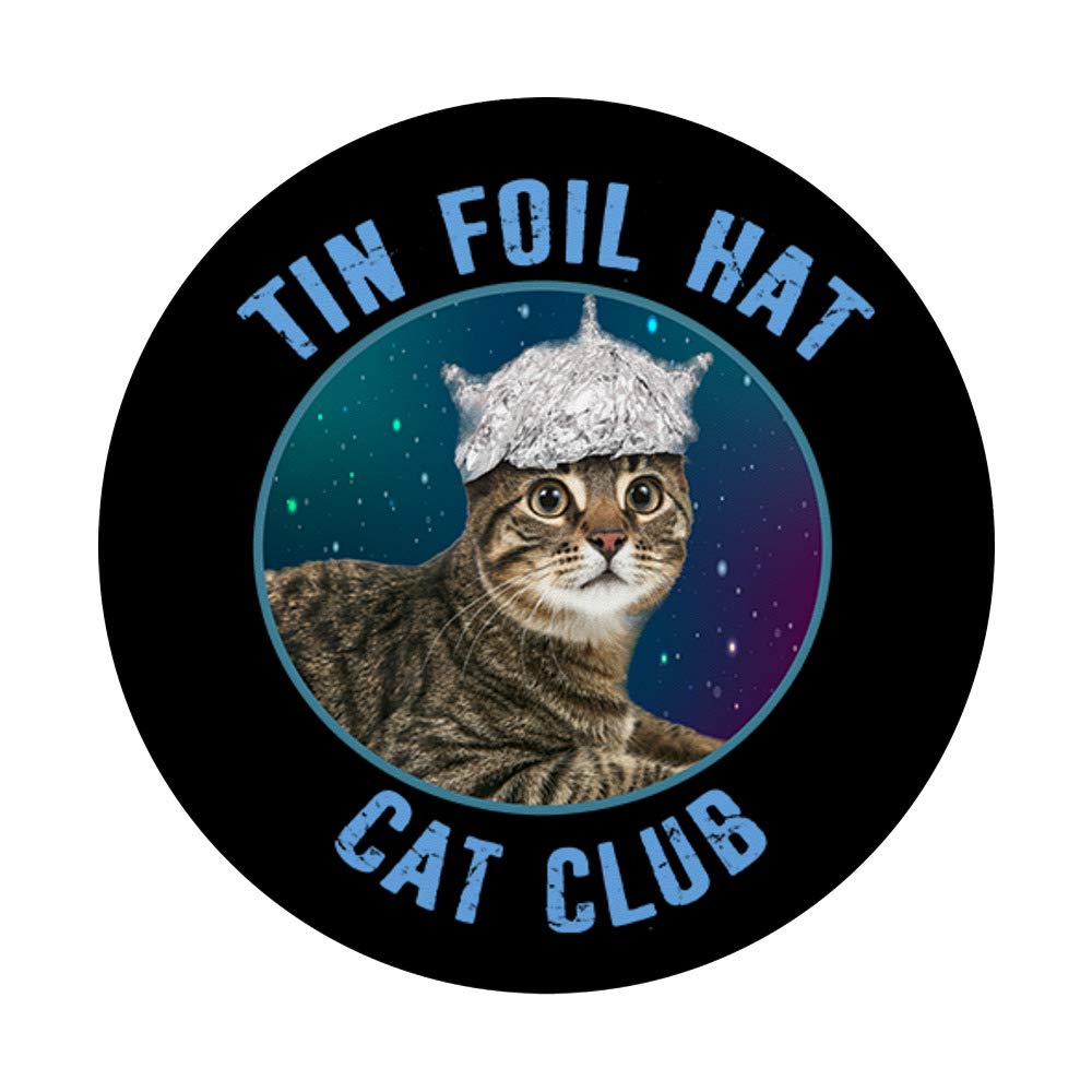 Tin Foil Hat Cat