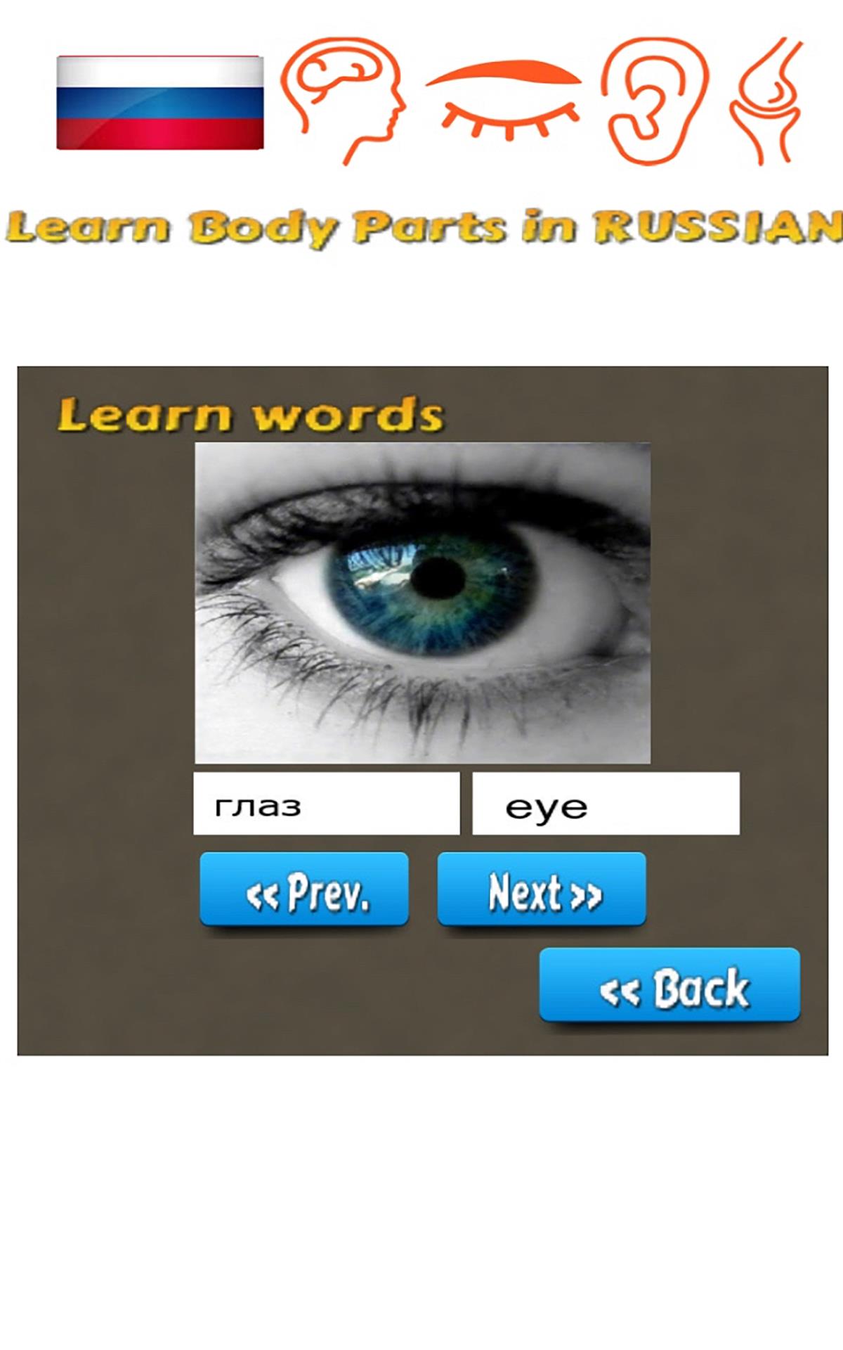 Russian Words Teacher - Learn Body Parts - App on Amazon Appstore