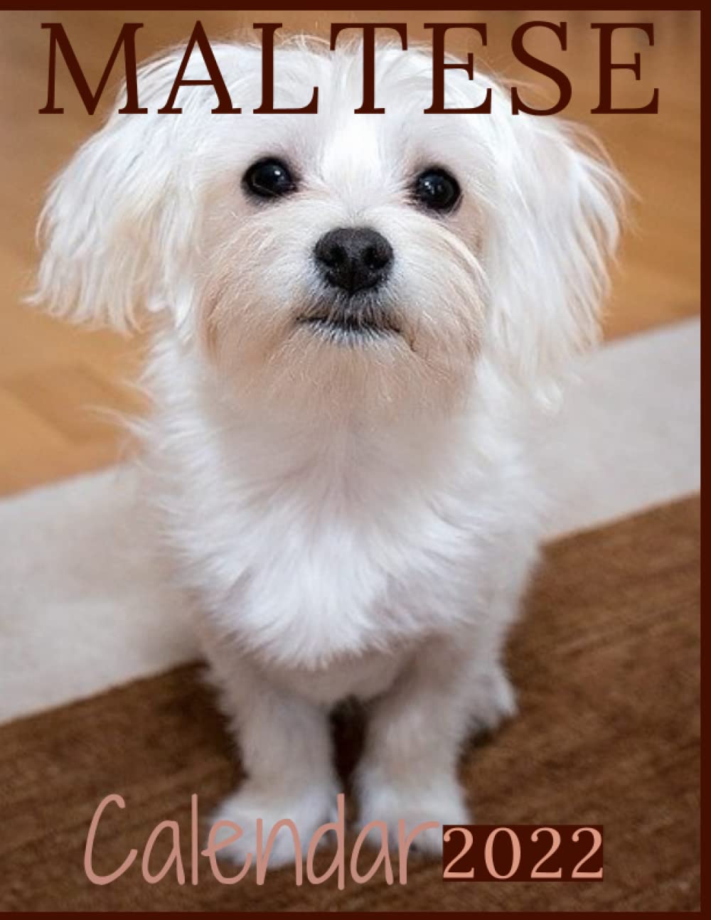 Buy Maltese 2022: Maltese Small Dog Breed Monthly With Holidays Of The ...