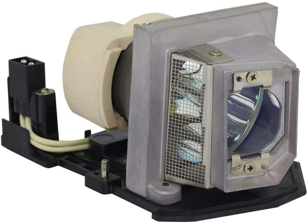 Amazon.com: GOLDENRIVER BL-FP200H Original Projector Lamp with Housing ...