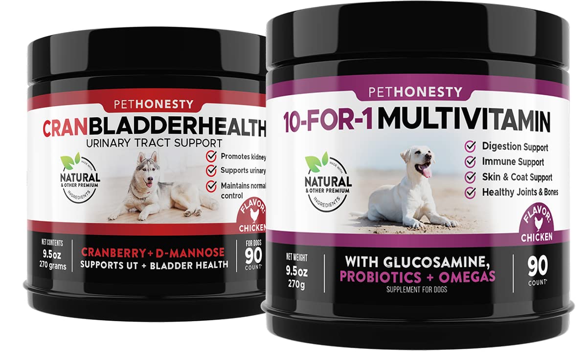 How To Treat Dog Uti With Antibiotics