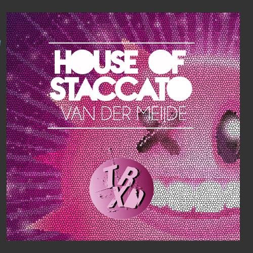 Amazon.com: House of Staccato - Single: CDs & Vinyl