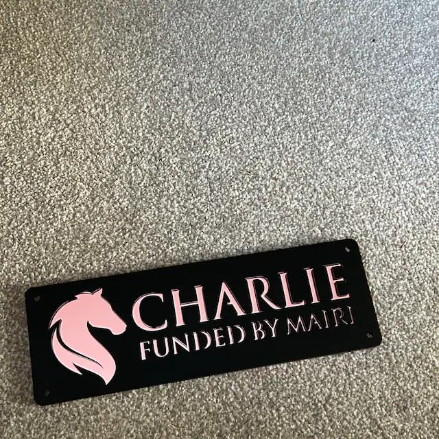 Amazon.com: Horse Stable Name Sign, Classy New Laser Cut Design Matt ...