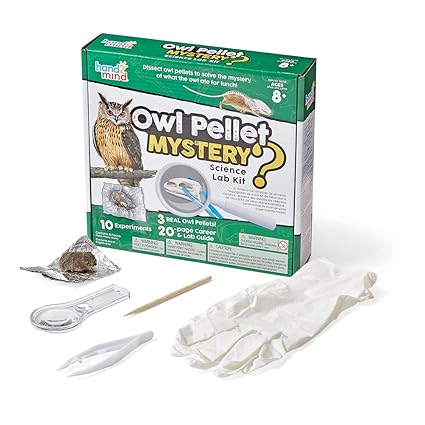 Amazon.com: hand2mind Animal Science Kit for Kids 8-12, Kids Science ...