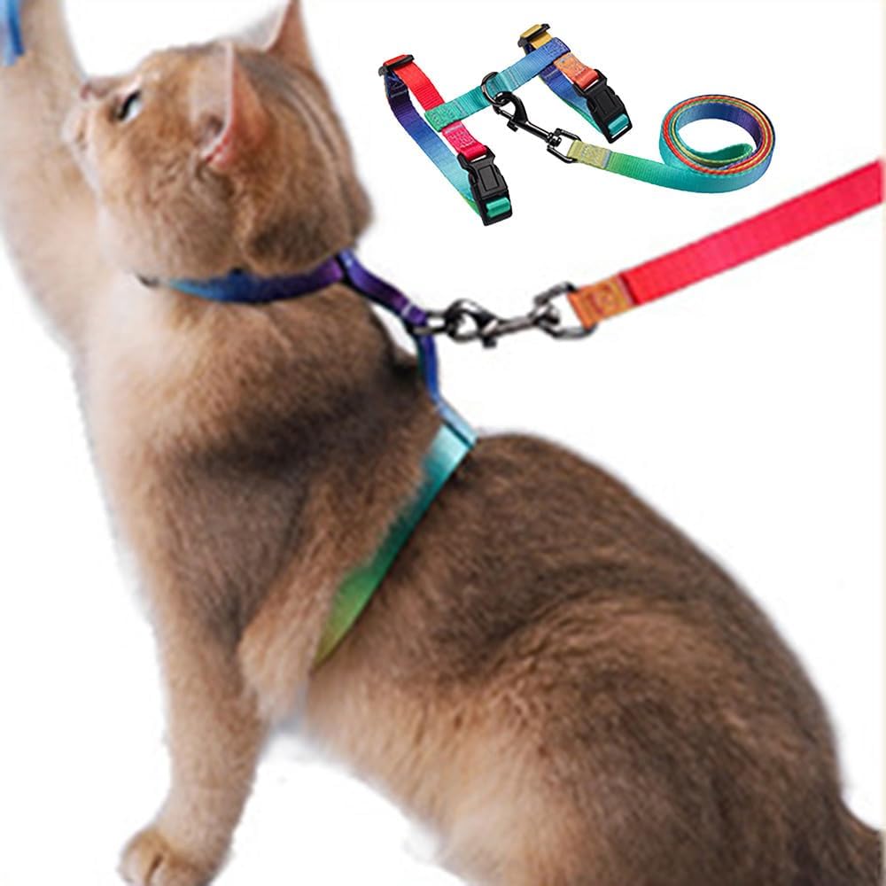 Amazon.com : Cat Harness and Leash Set - Escape Proof Adjustable Cat ...