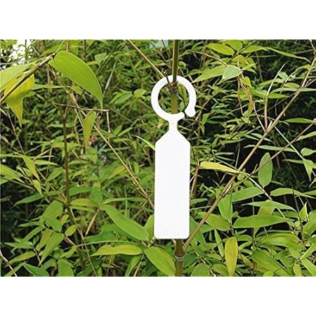 Amazon.com: KINGLAKE 100 Pcs Thick Plastic Plant Tree Tags Markers ...