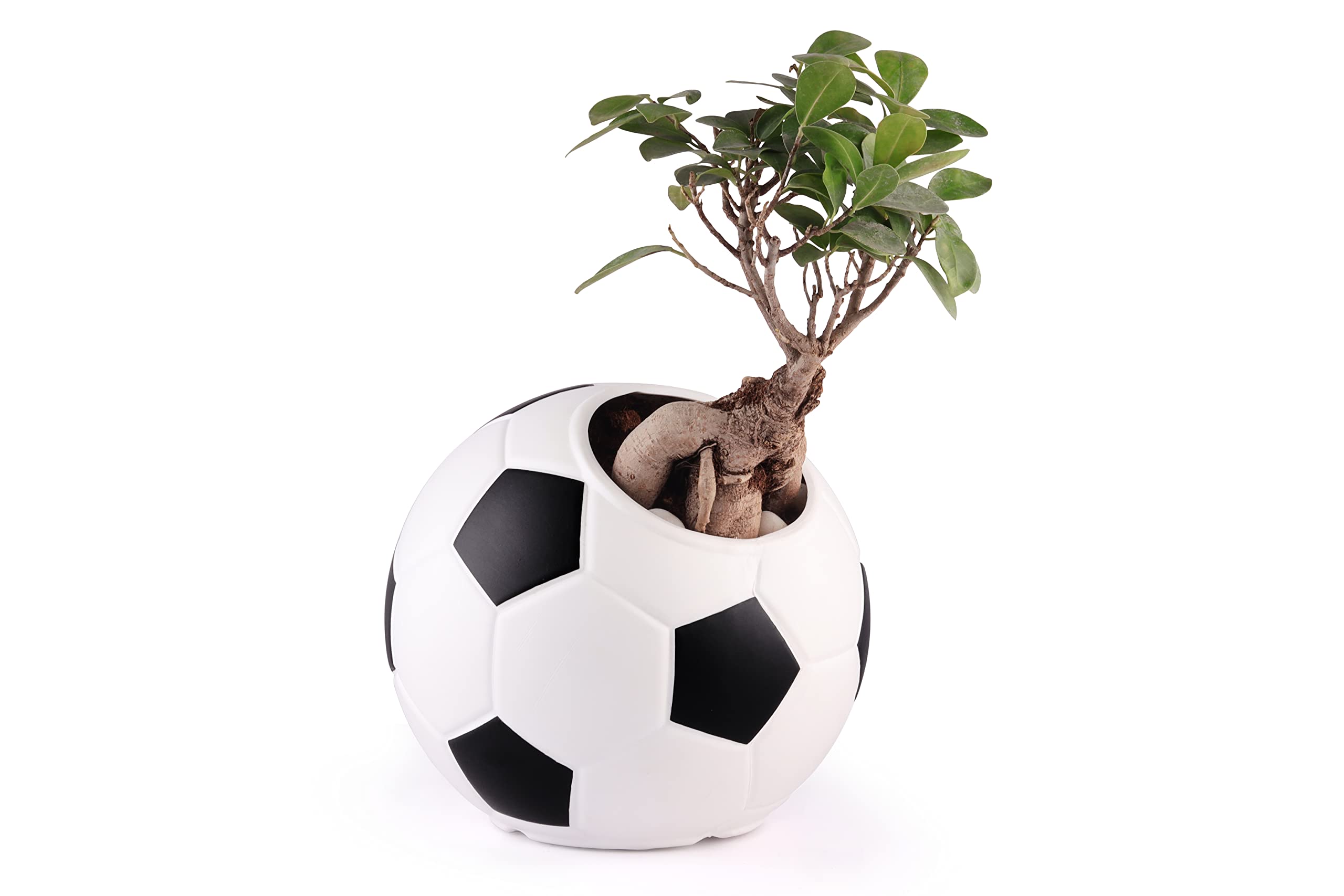 Garden's Designer Football-Shaped Flower Pot – Trendy Decorative ...