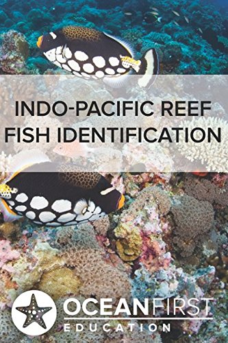 Indo-Pacific Reef Fish Identification: Education, Ocean First ...