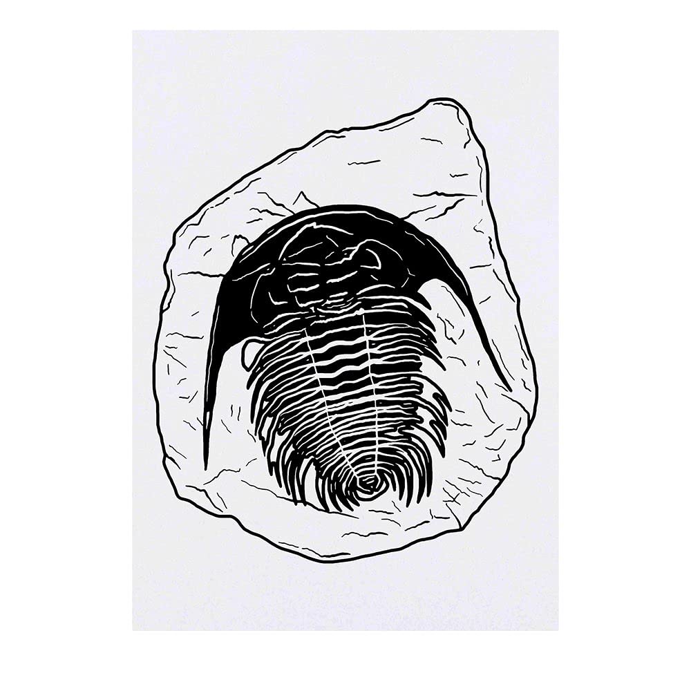 Amazon.com : Azeeda 'Trilobite Fossil' Temporary Tattoo - Water ...