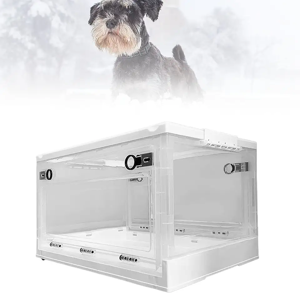 Understanding Agonal Breathing In A Dying Cat: Causes, Signs, And What ...