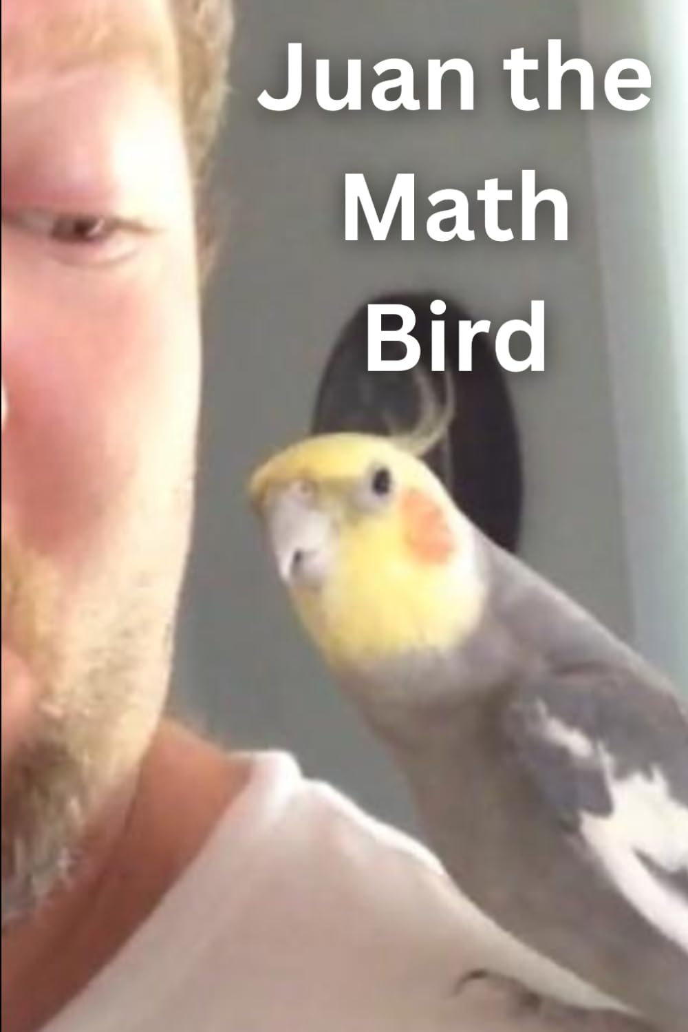 Juan the Math Bird: A Bird’s-Eye View of Numbers and Madness (The Math ...