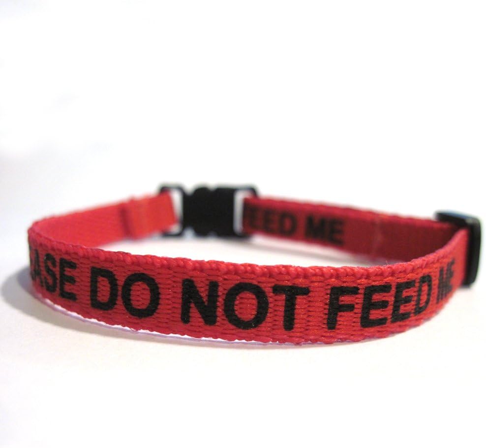 Please Do Not Feed Me Collar Red : Amazon.co.uk: Pet Supplies