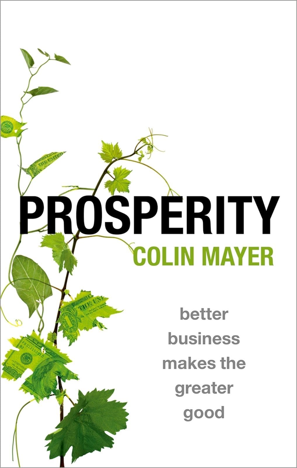 Prosperity: Better Business Makes the Greater Good: Amazon.co.uk: Mayer ...