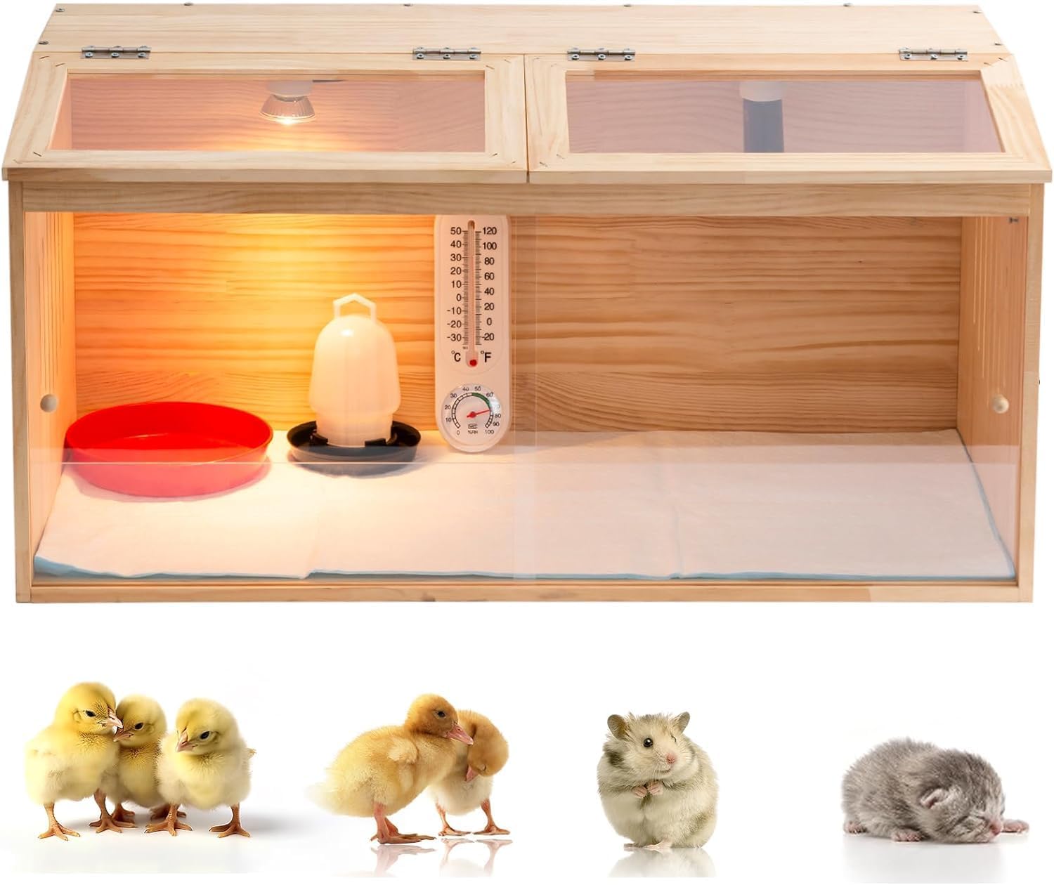 Amazon.com: Tetuga Brooder Box for Chick Starter Kit - Chick Brooder ...