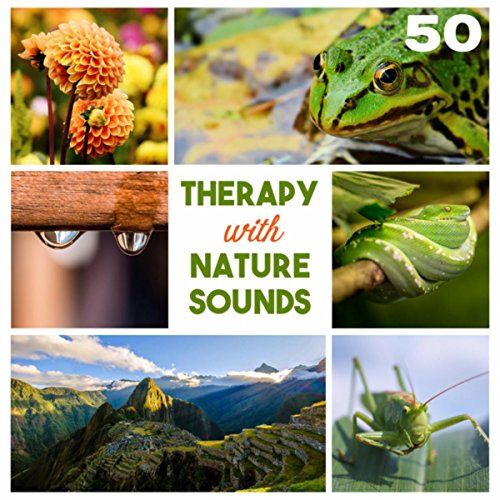Amazon.com: 50 Therapy with Nature Sounds: Relaxing Instrumental Music ...