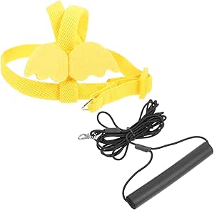 Amazon.com : VANZACK 1set Bird Harness Leash for Flying Training ...