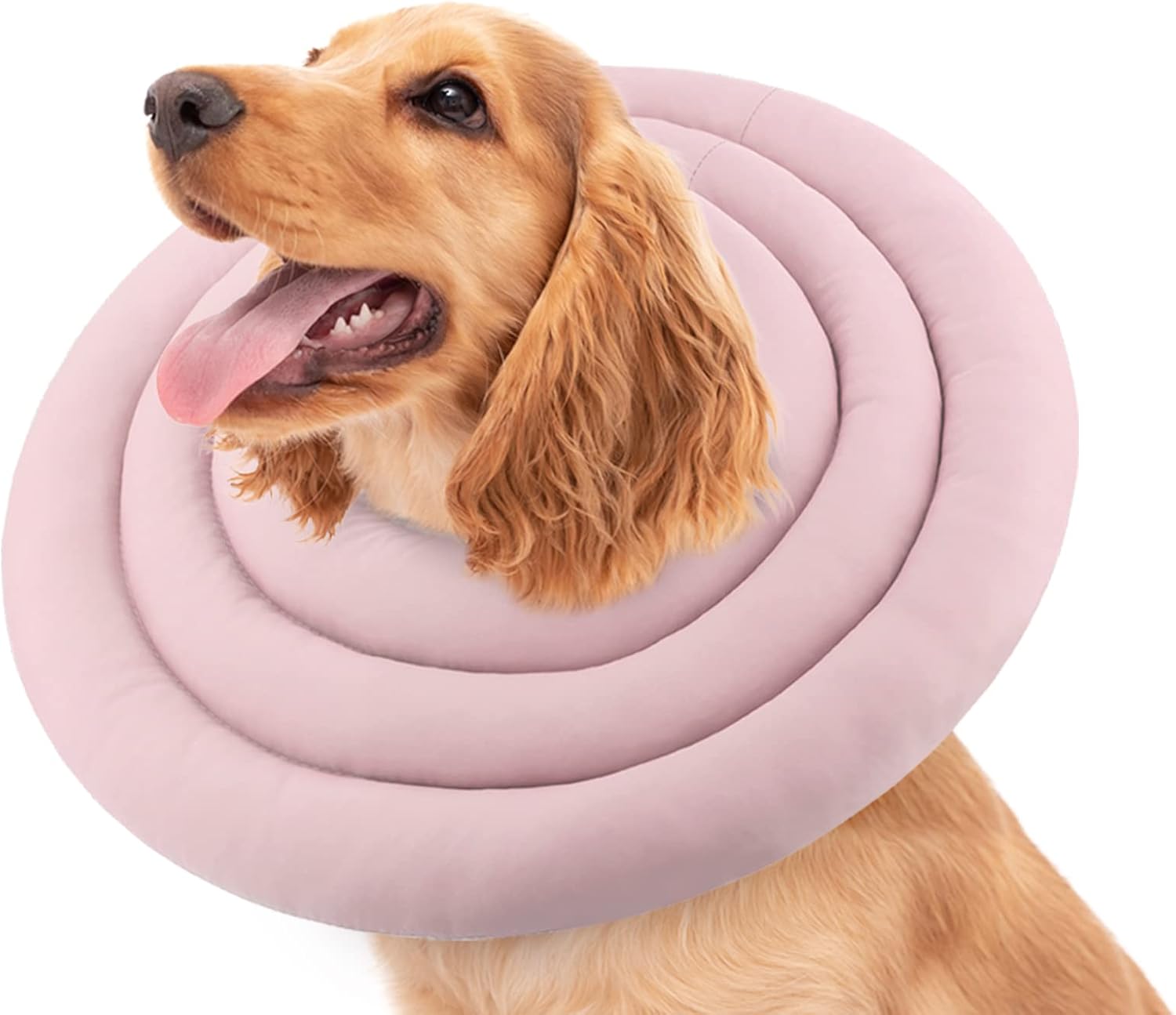 Amazon.com : Pawfun Soft Dog Cone Alternative After Surgery,Comfortable ...