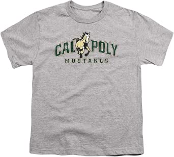 Amazon.com: California Polytechnic State University Official Distressed ...
