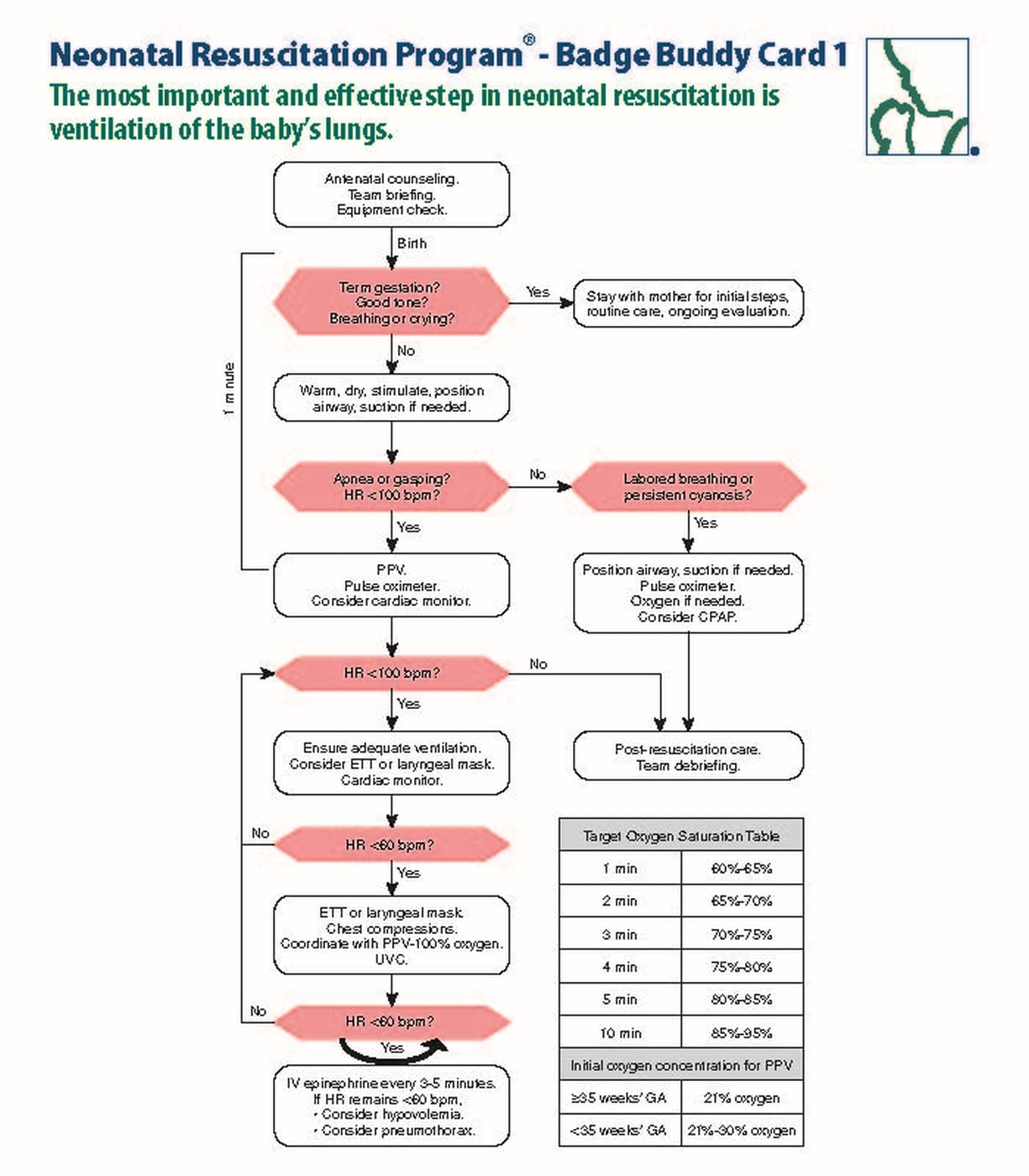 NRP Badge Buddy Card 1 and 2: 9781610025331: Medicine & Health Science ...