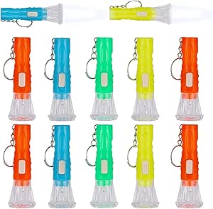 FRIUSATE 10Pcs LED Mini Torch Keyring Mini LED Keyring Torch LED ...