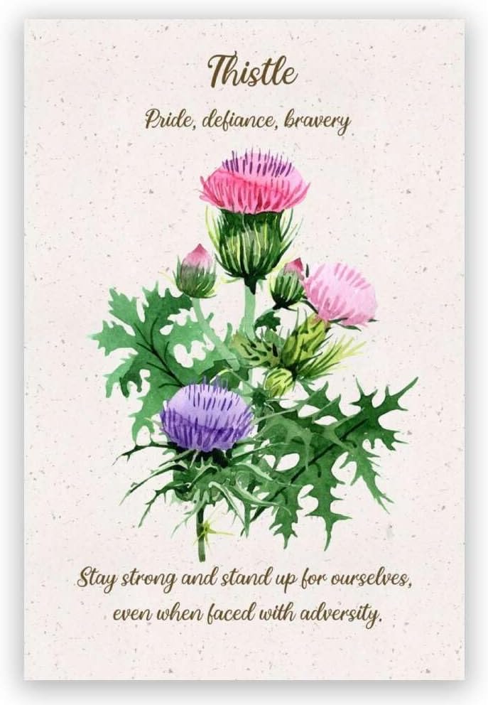 Amazon.com: MLabyrinth Thistle Flower Poster Floral Decor Vintage ...