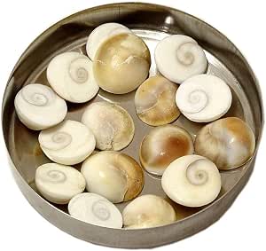 Amazon.com: 100% Natural Original Gomti (Gomati) Chakra directly from ...
