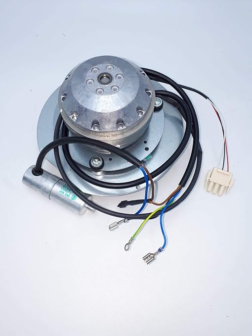 Extracteur de fumée EBM R2E150-AN91-22 32 W : Amazon.fr: Bricolage