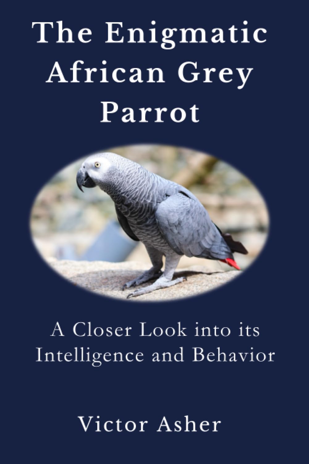 The Enigmatic African Grey Parrot: A Closer Look into its Intelligence ...