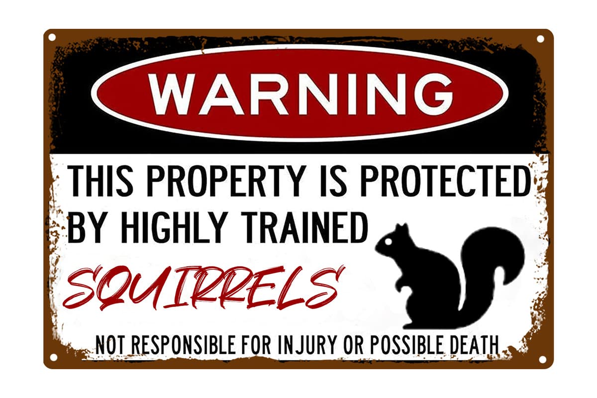 Buy Warning Squirrel Sign Funny Metal Tin Sign, Protected by Squirrels ...