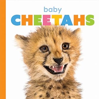 Baby Cheetahs (Starting Out) : Riggs, Kate: Amazon.in: Books